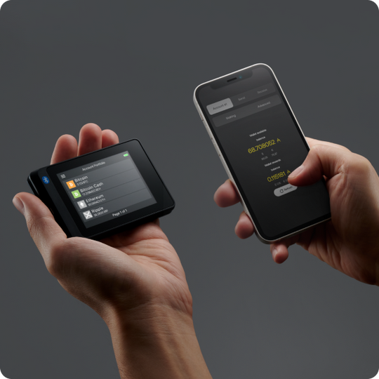 SecuX W20 Hardware Wallet for Crypto and NFT | SecuX Official Shop